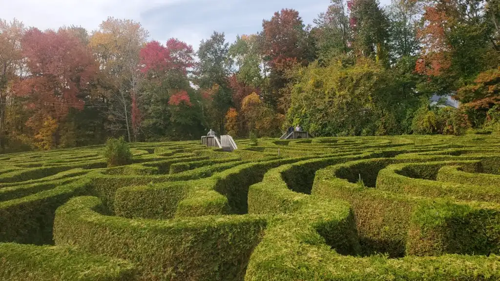 Big Green Monster Maze: Why Teens and Families Love This Hedge Maze ...