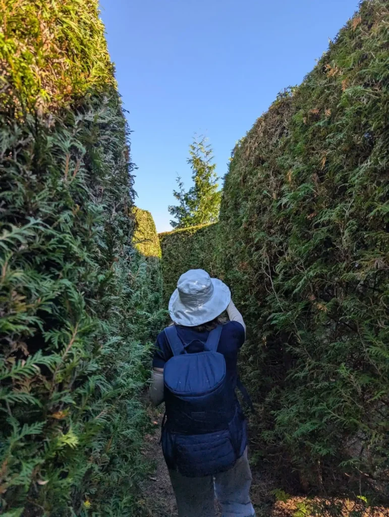 Big Green Monster Maze: Why Teens and Families Love This Hedge Maze ...
