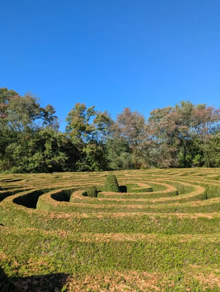 Big Green Monster Maze: Why Teens and Families Love This Hedge Maze ...