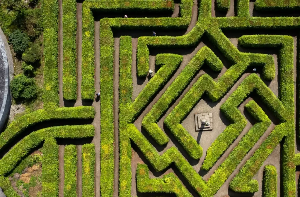 Why Russborough’s Beech Hedge Maze Is Ireland’s Best Garden Challenge ...